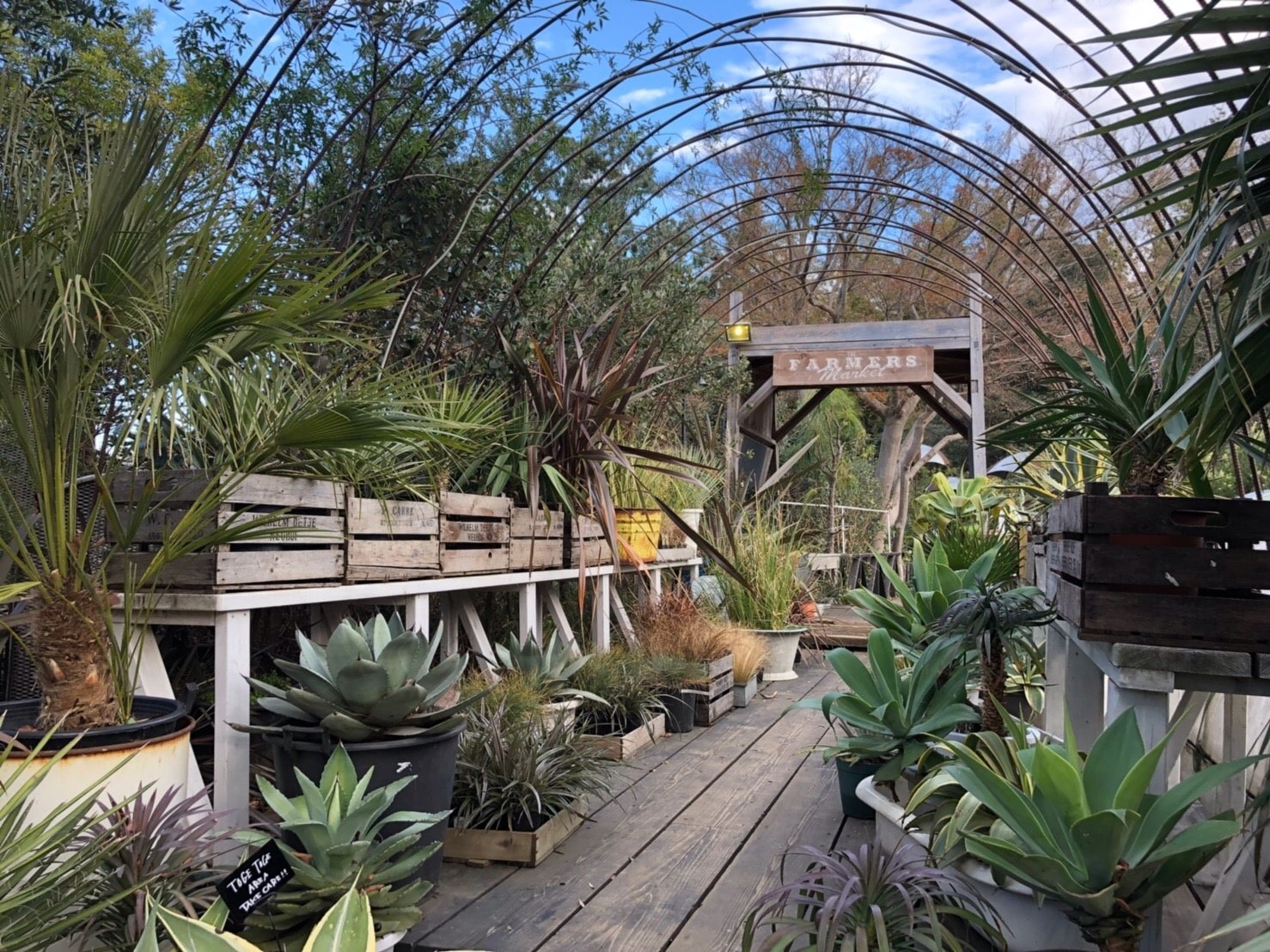 人気の自然体験型農園「SOLSO FARM」に行ってきました。【行き方や感想について】